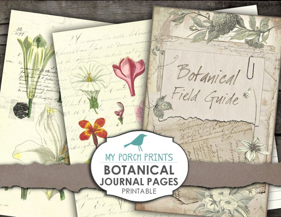 Botanical Junk Journal Pages Field Guide Junk Journal Kit | Etsy