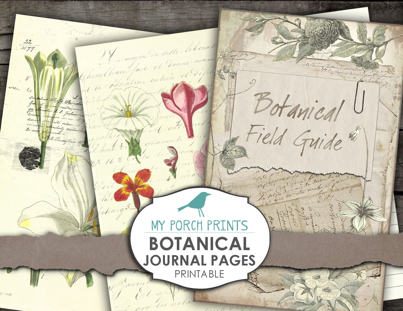 Botanical Junk Journal Pages, Field Guide, Junk Journal Kit, Herb Lore ...