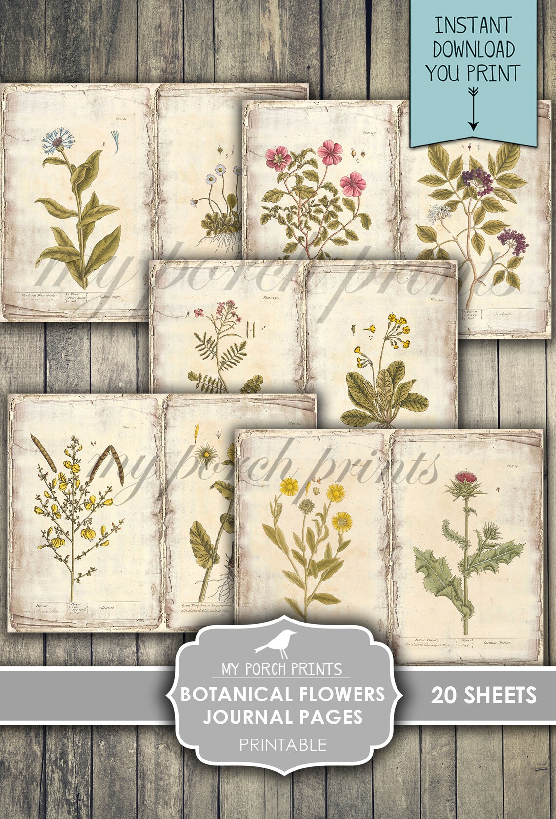 Junk Journal Botanical Pages Flowers Vintage My Porch | Etsy