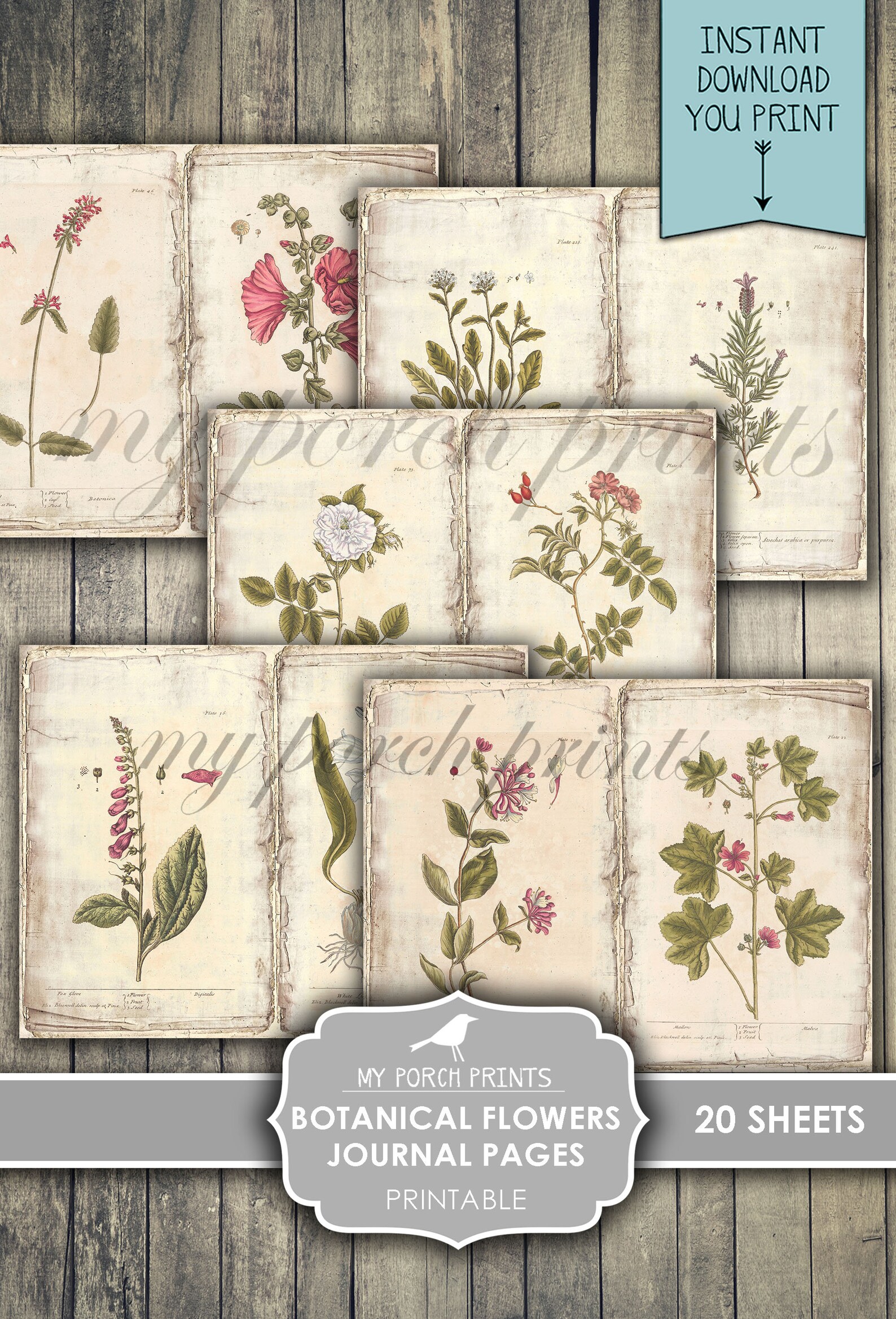 Junk Journal, Botanical, Pages, Flowers, Vintage, My Porch Prints ...