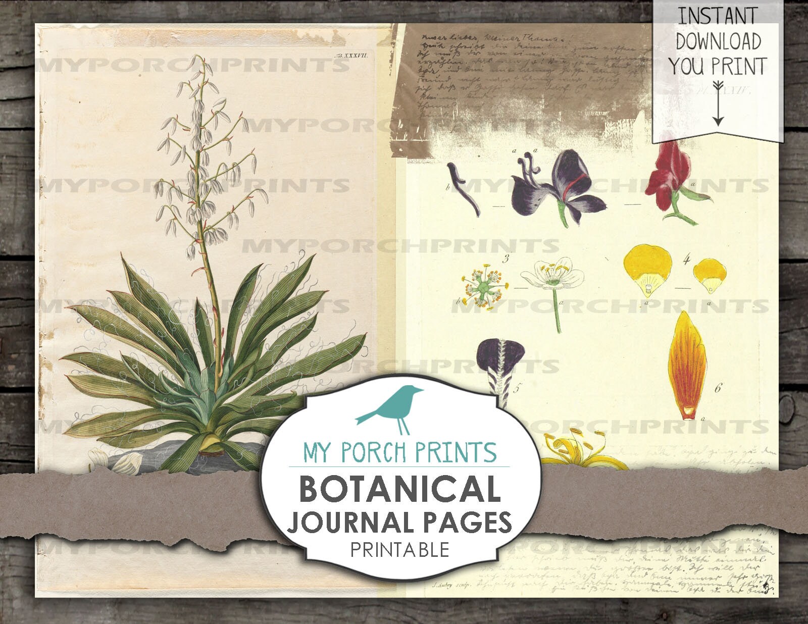 Botanical Junk Journal Pages Field Guide Junk Journal Kit | Etsy