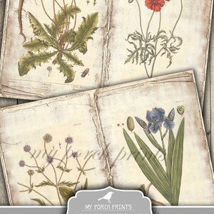 Junk Journal, Botanical, Pages, Flowers, Vintage, My Porch Prints ...