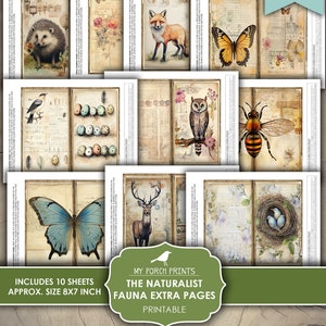Junk Journal, Naturalist, Fauna, EXTRA PAGES, Papers, Nature, Animals ...