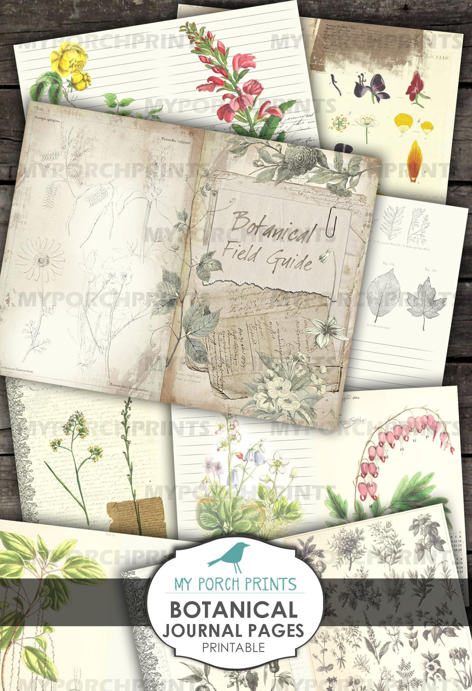 Botanical Junk Journal Pages, Field Guide, Junk Journal Kit, Herb Lore ...