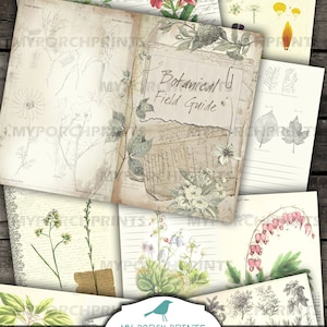 Botanical Junk Journal Pages, Field Guide, Junk Journal Kit, Herb Lore ...