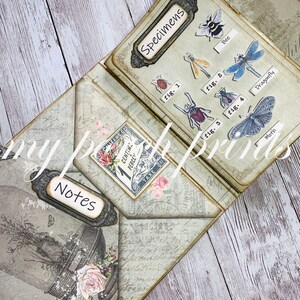 Junk Journal Kit, Entomology Folio, Insect, Bug, Display, Craft Kit, My ...