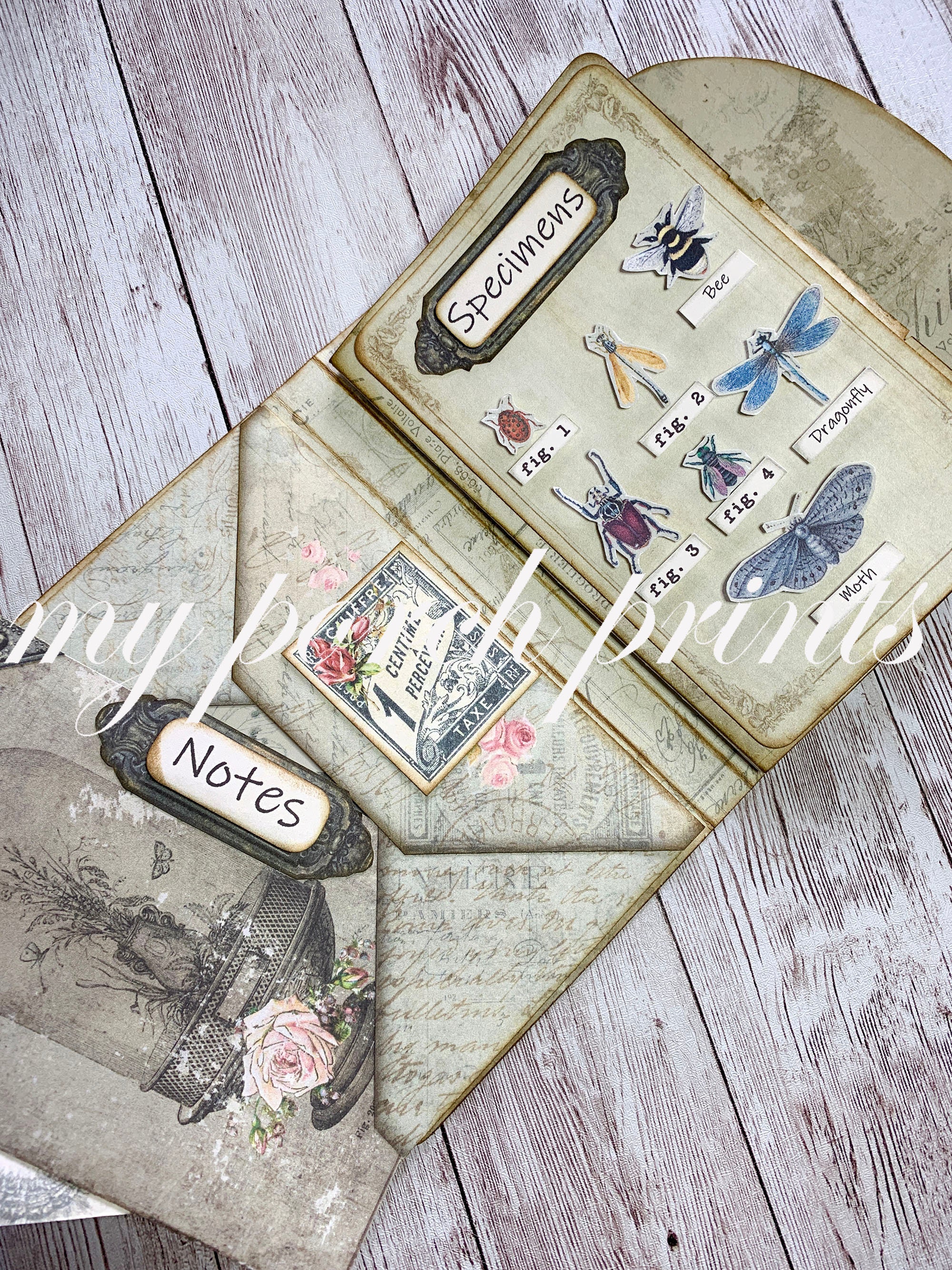 Junk Journal Kit Entomology Folio Insect Bug Display - Etsy