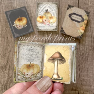 Mini Book, Pumpkin, Harvest, Junk Journal, Craft Kit, Fall, Autumn ...