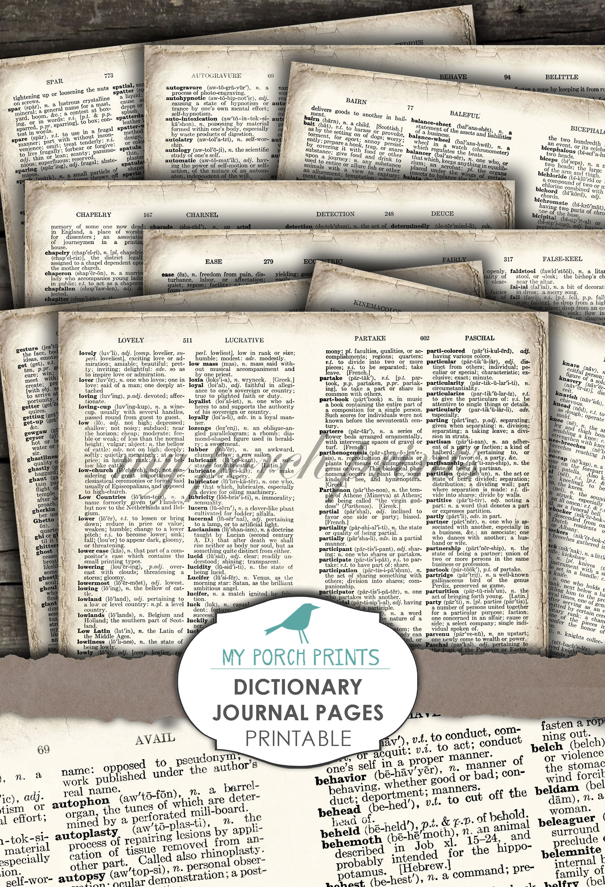 Junk Journal Dictionary Definition Journal Pages Printable - Etsy