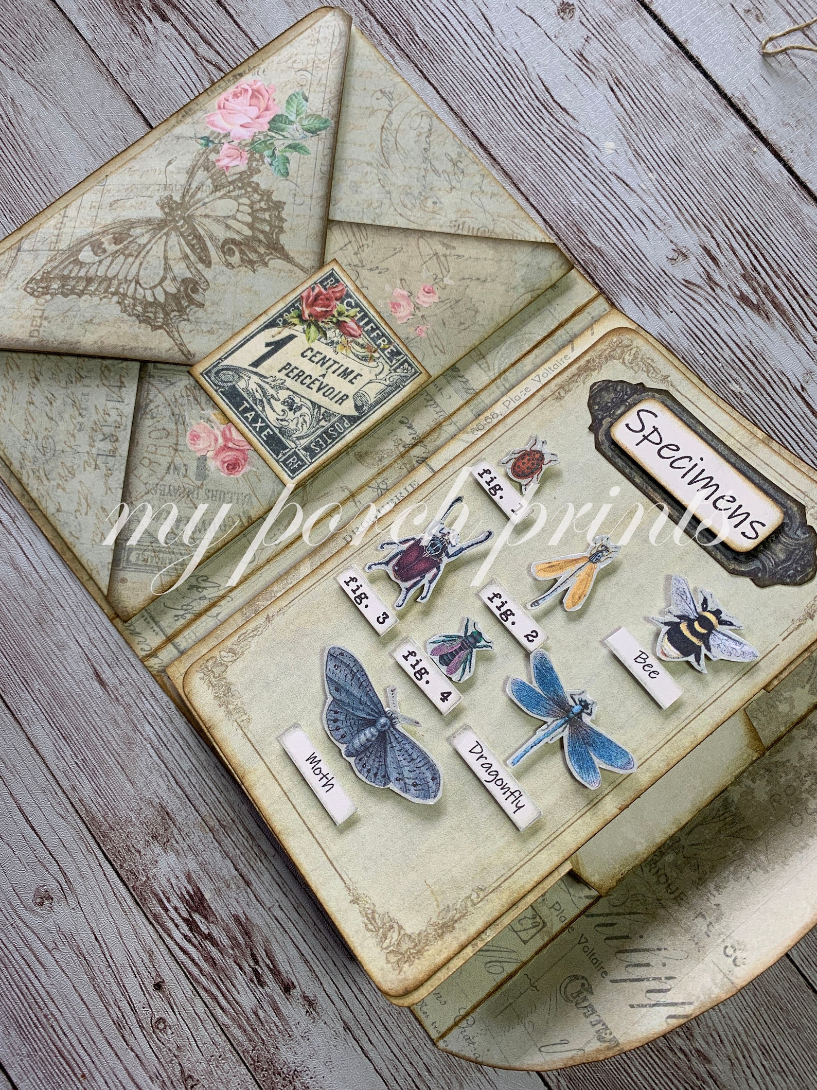 Junk Journal Kit Entomology Folio Insect Bug Display - Etsy