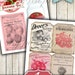 Strawberry Ephemera Pack, Shabby, Vintage, Strawberries, Red, Recipe ...