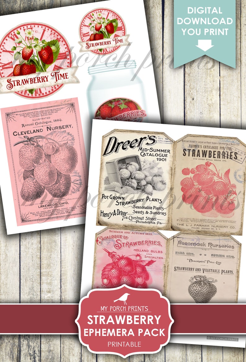Strawberry Ephemera Pack Shabby Vintage Strawberries Red - Etsy