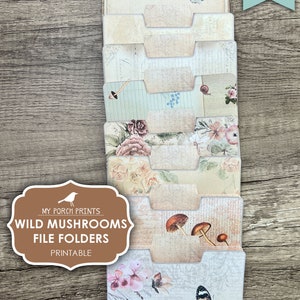 Junk Journal, File, Folders, Wild, Mushrooms, Vintage, Peach, Fairy ...
