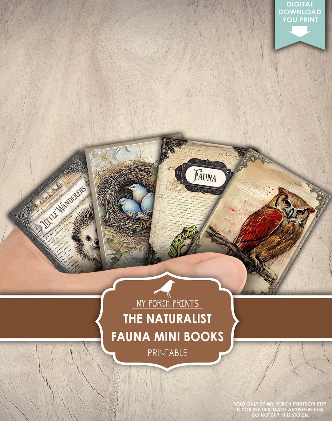 Mini Books, the Naturalist, Fauna, Junk Journal, Animals, Forest ...