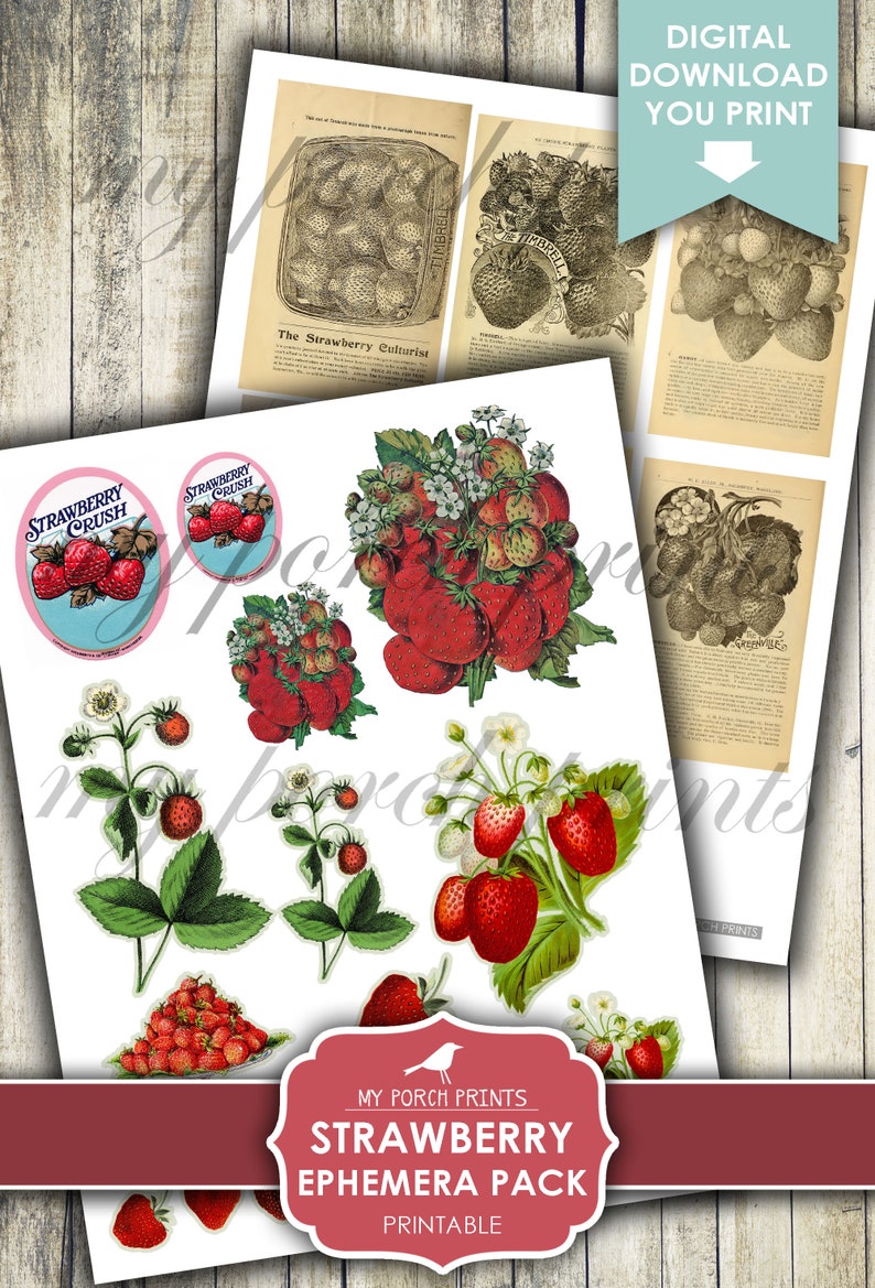 Strawberry Ephemera Pack Shabby Vintage Strawberries Red - Etsy