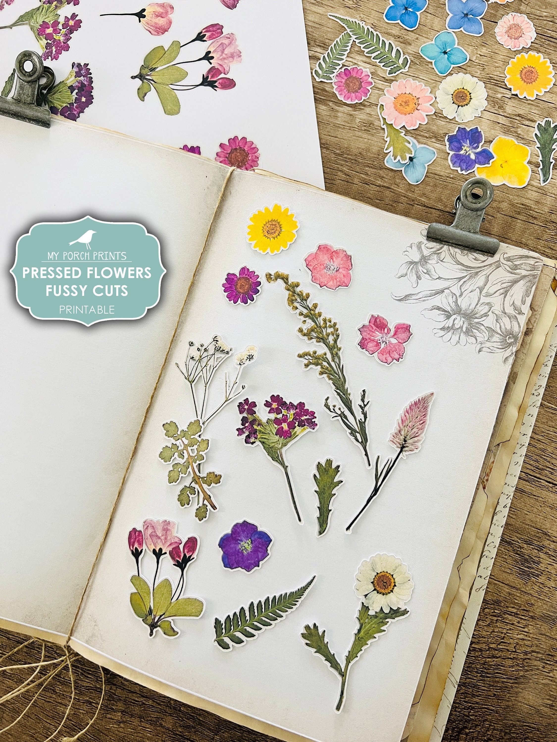 Junk Journal, Pressed, Flowers, Fussy Cuts, Dried, Bullet Journal ...
