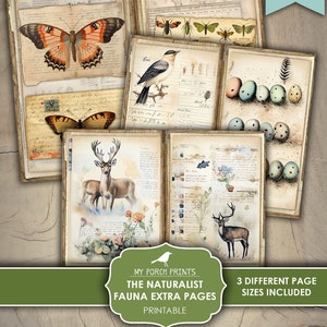 Junk Journal, Naturalist, Fauna, EXTRA PAGES, Papers, Nature, Animals ...