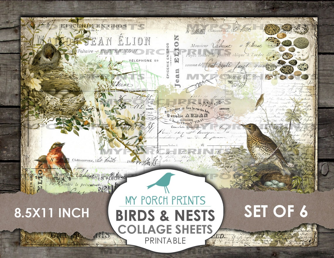 Bird, Nest, Collage Sheet, Journal Page, Watercolor, My Porch Prints ...