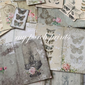 Junk Journal Kit, Entomology Folio, Insect, Bug, Display, Craft Kit, My ...