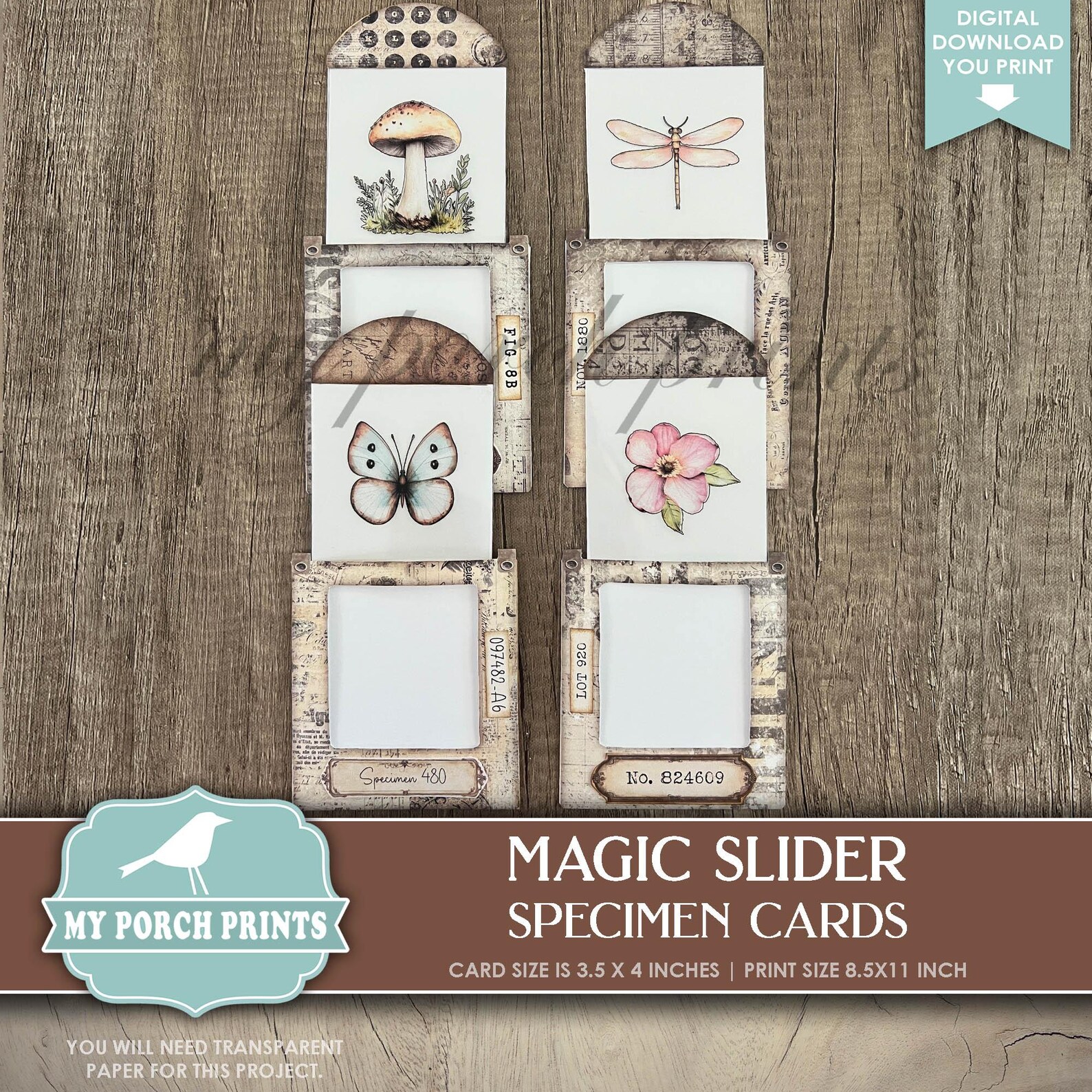 Magic Slider Specimen Cards, Junk Journal, Black and White Color ...