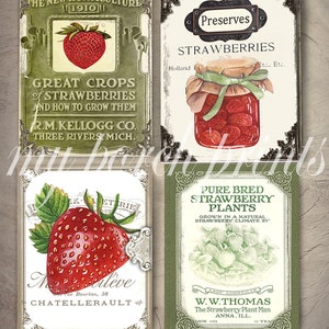 Strawberry Mini Books, Junk Journal, Miniature, Fruit, Summer, Kitchen ...