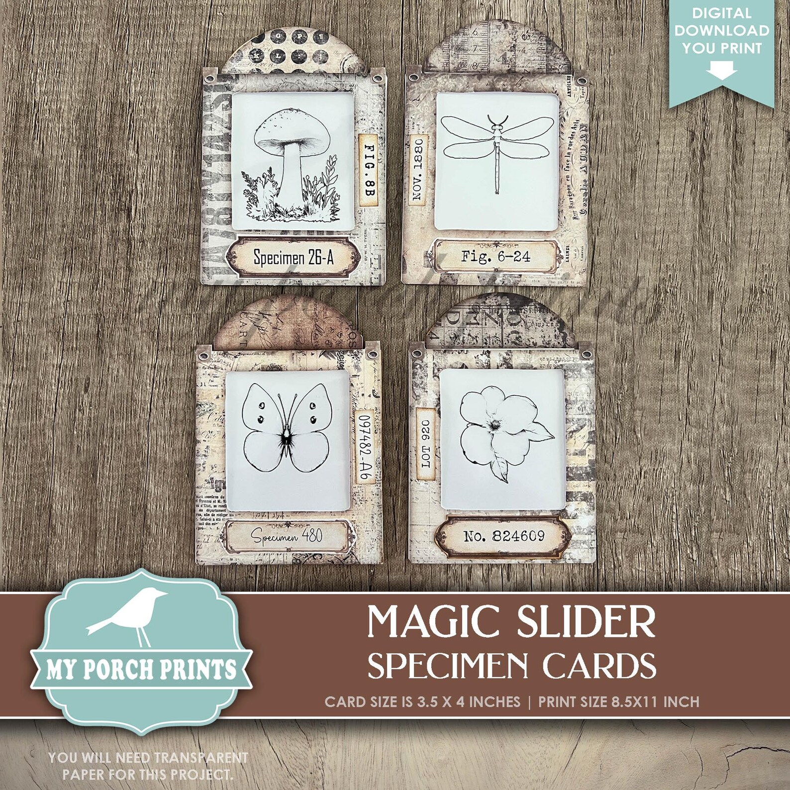 Magic Slider Specimen Cards, Junk Journal, Black and White Color ...