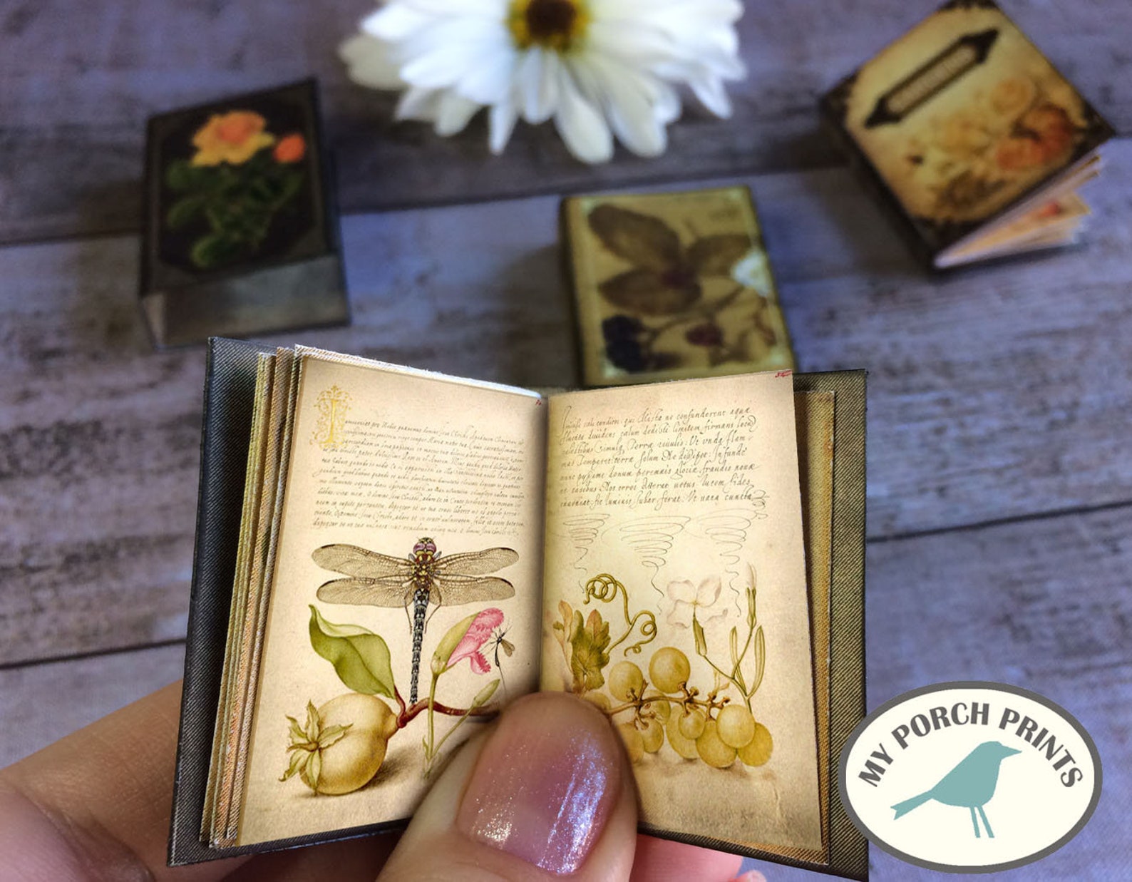Garden Mini Books Flowers Rose Mini Album Necklace - Etsy