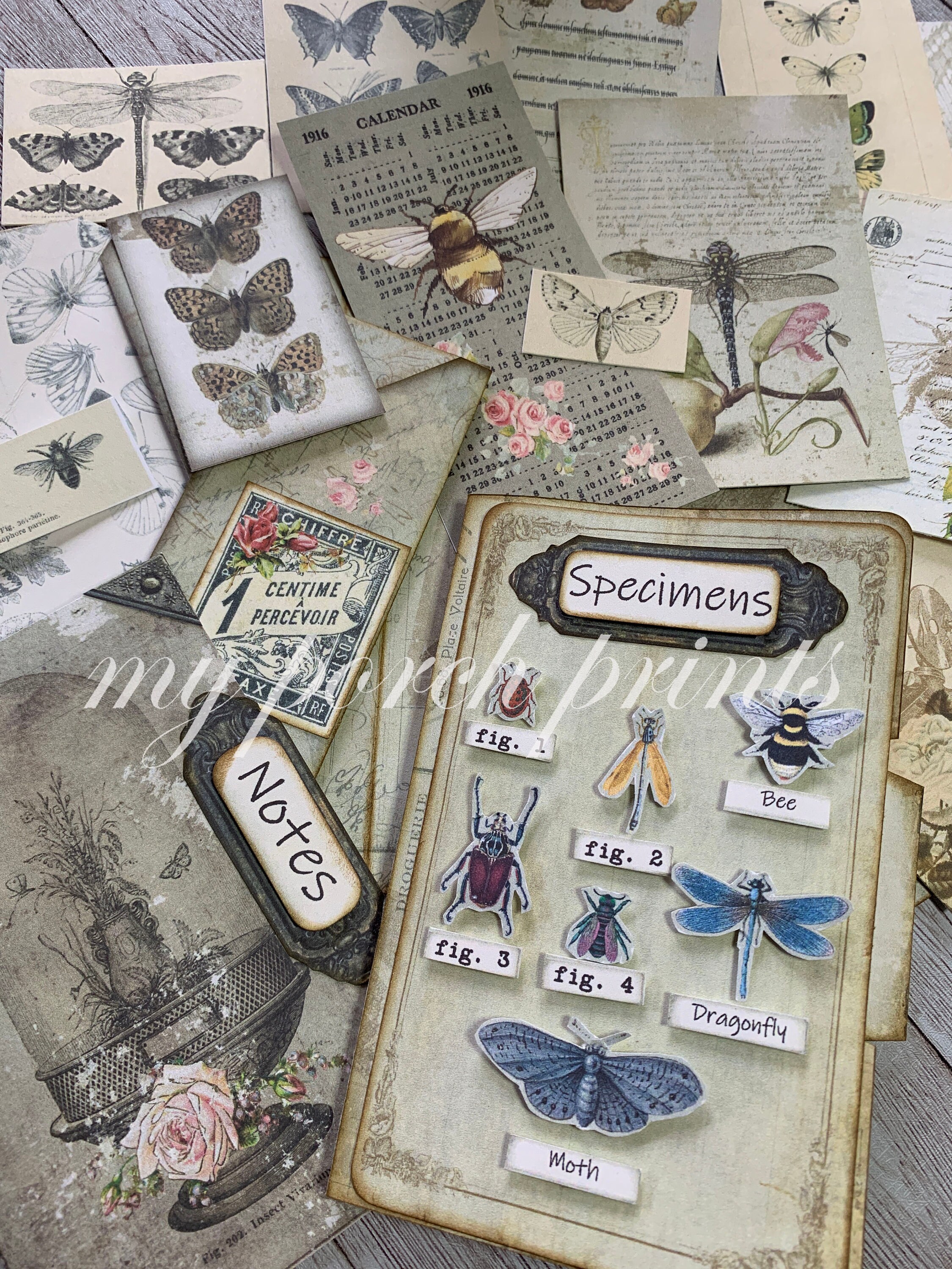 Junk Journal Kit Entomology Folio Insect Bug Display - Etsy