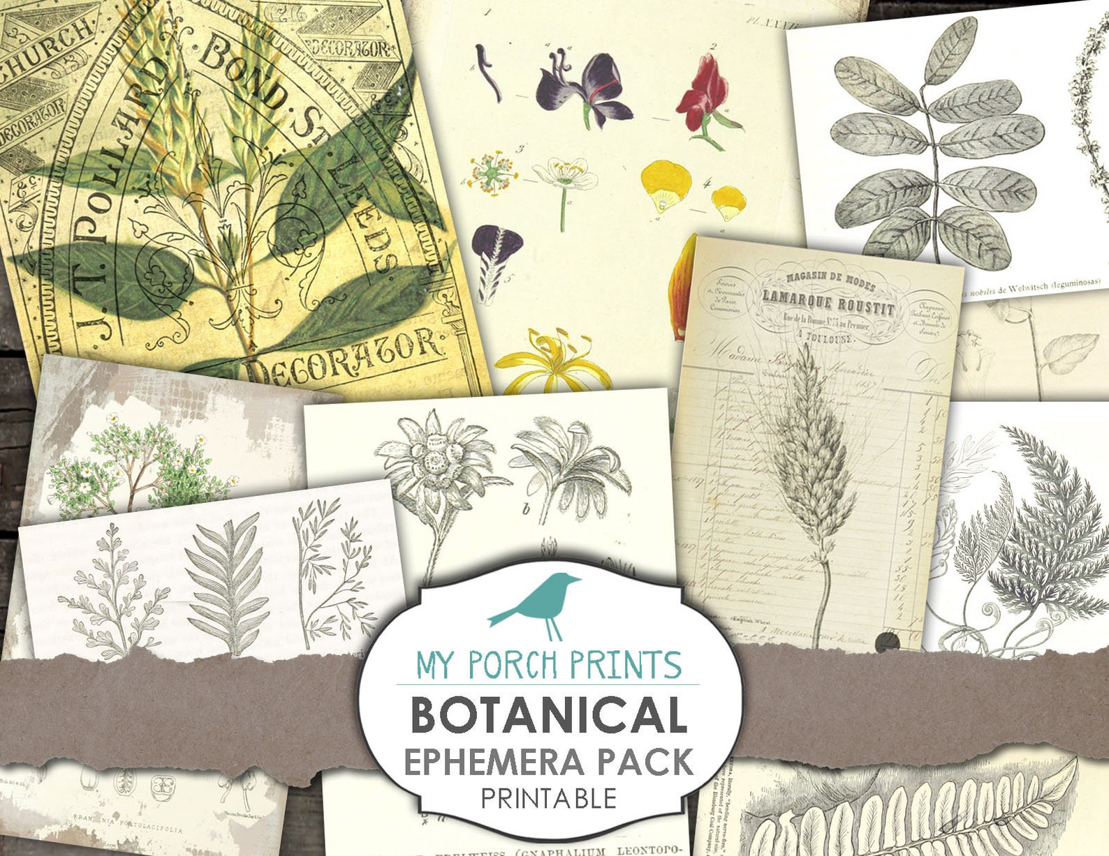 Botanical Ephemera Pack, Junk Journal Ephemera, Postcard, Collage Sheet ...