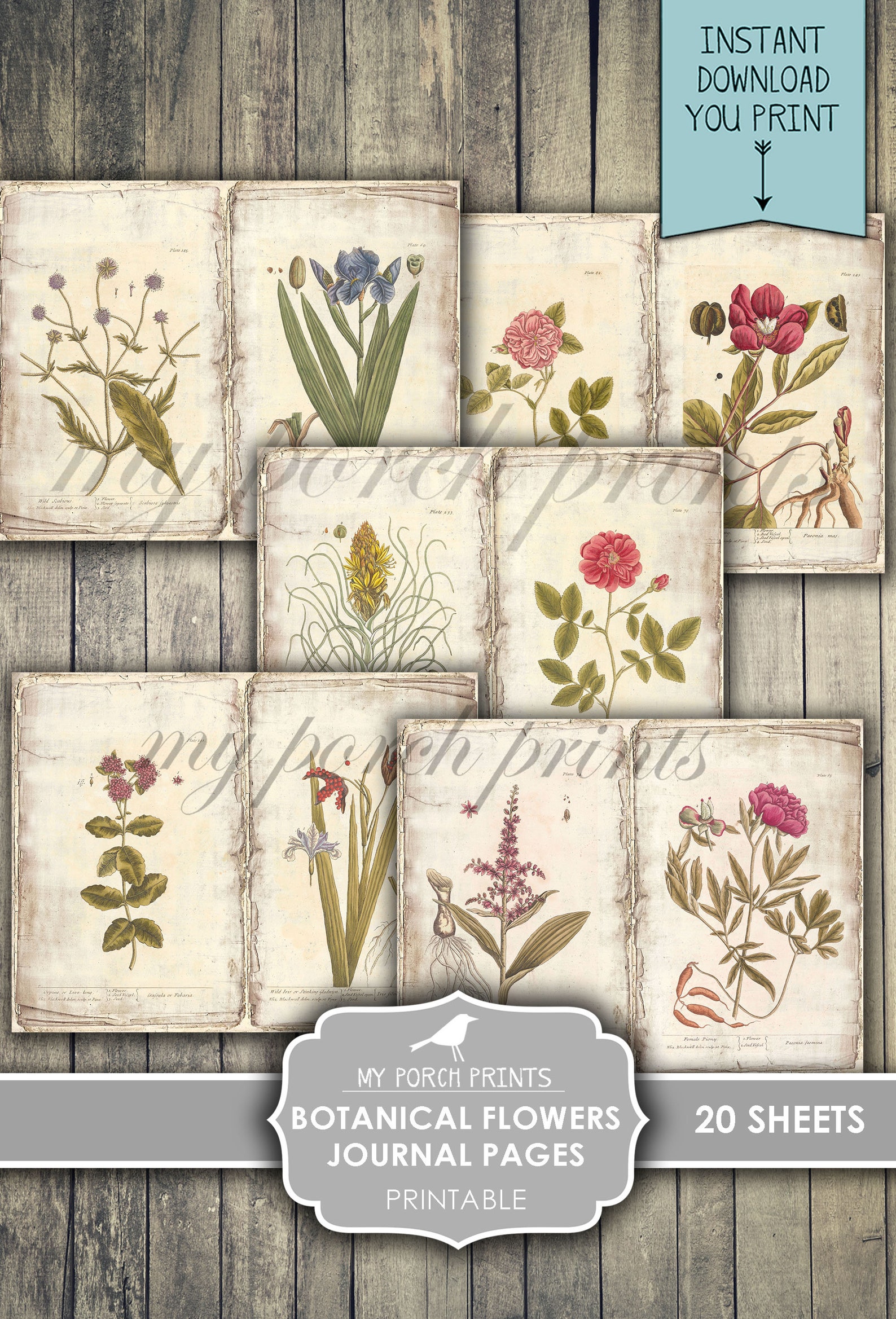 Junk Journal, Botanical, Pages, Flowers, Vintage, My Porch Prints ...