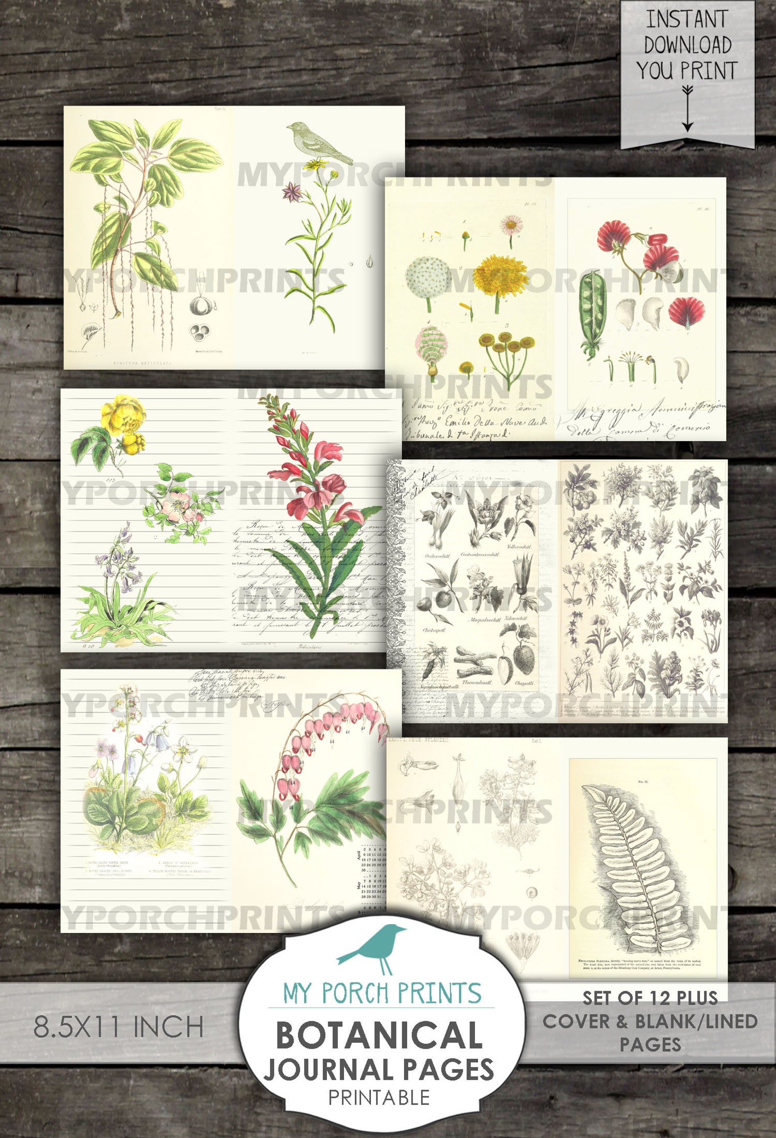 Botanical Junk Journal Pages, Field Guide, Junk Journal Kit, Herb Lore ...