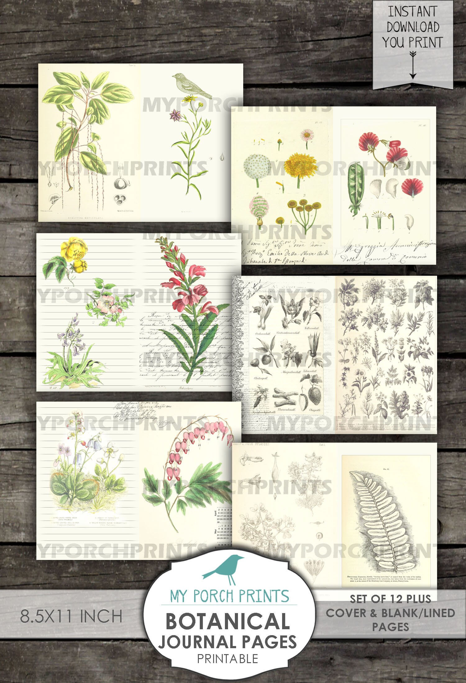 Botanical Junk Journal Pages Field Guide Junk Journal Kit | Etsy