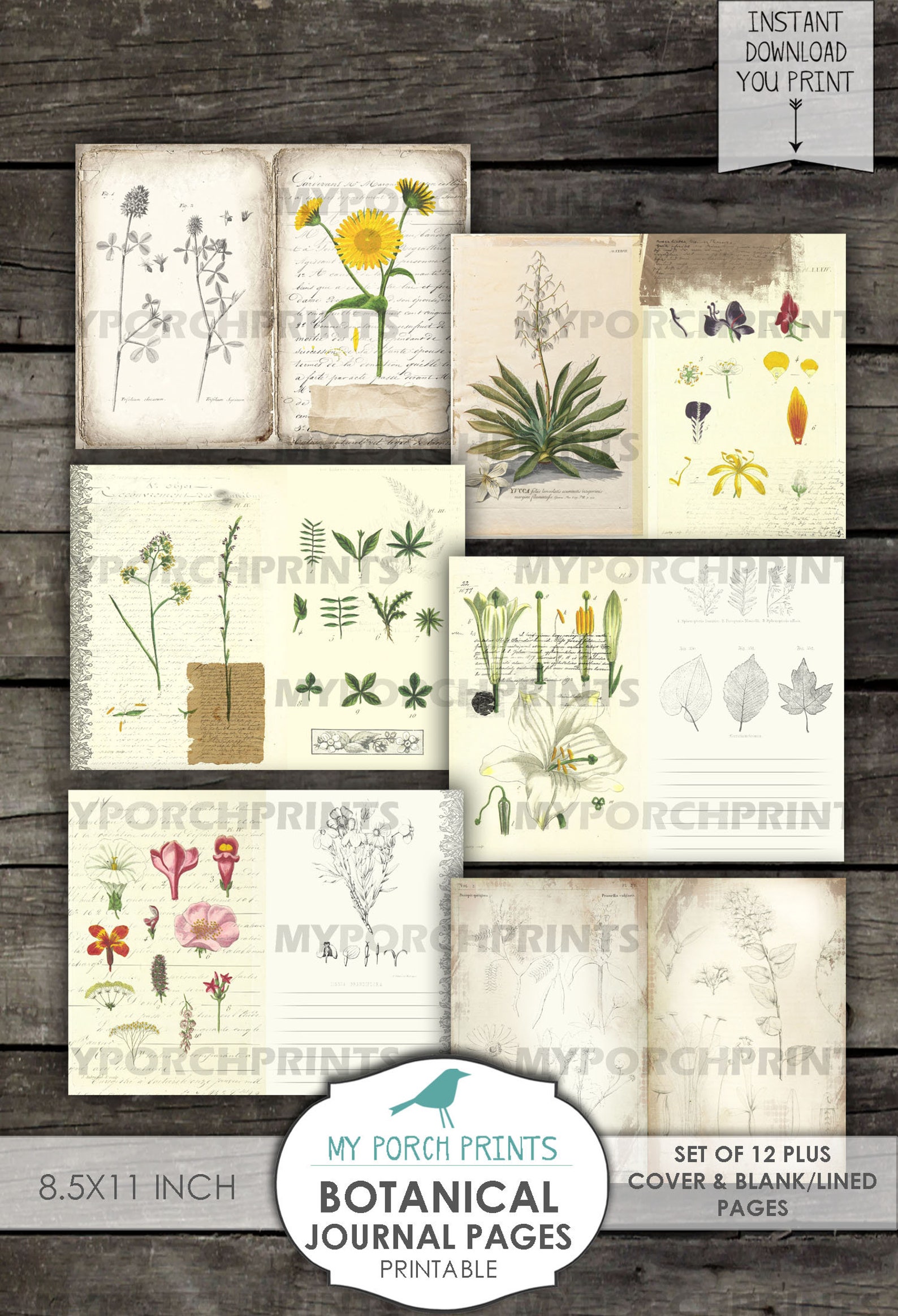 Botanical Junk Journal Pages Field Guide Junk Journal Kit - Etsy