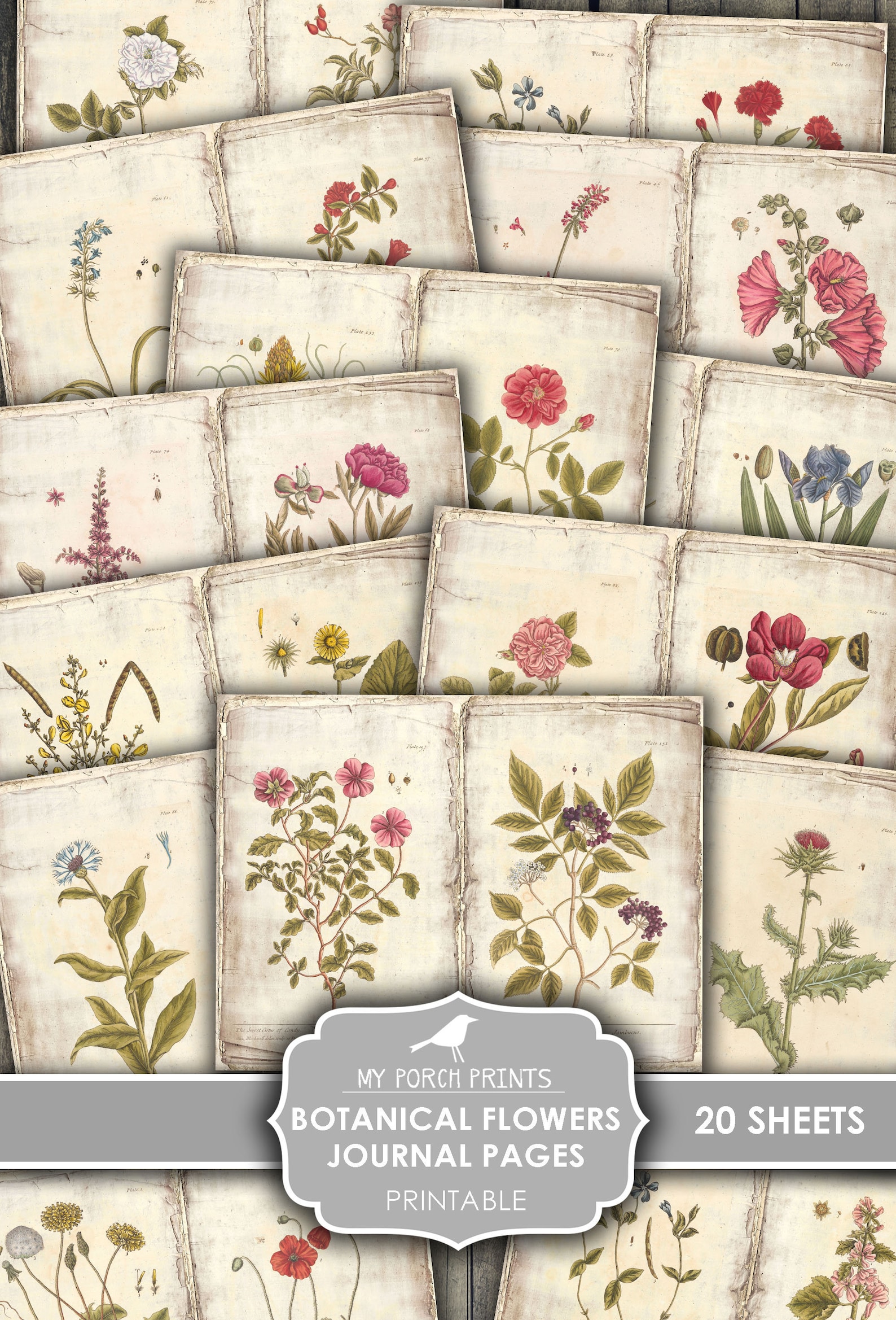 Junk Journal, Botanical, Pages, Flowers, Vintage, My Porch Prints ...