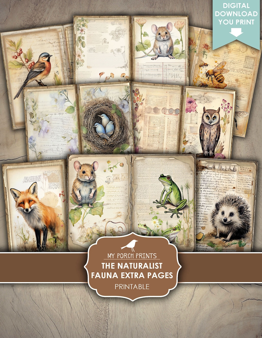 Junk Journal, Naturalist, Fauna, EXTRA PAGES, Papers, Nature, Animals ...