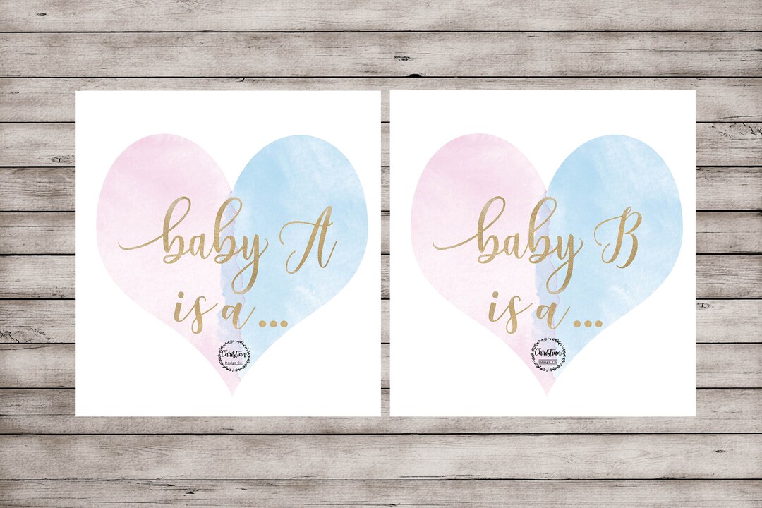 Twins Gender Reveal, Twin Gender Announcement, Reveal Party Twins ...