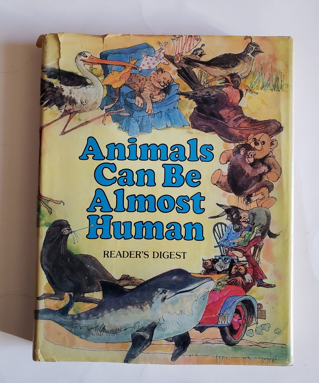 Animals Can Be Almost Human Reader's Digest 1979 - Etsy
