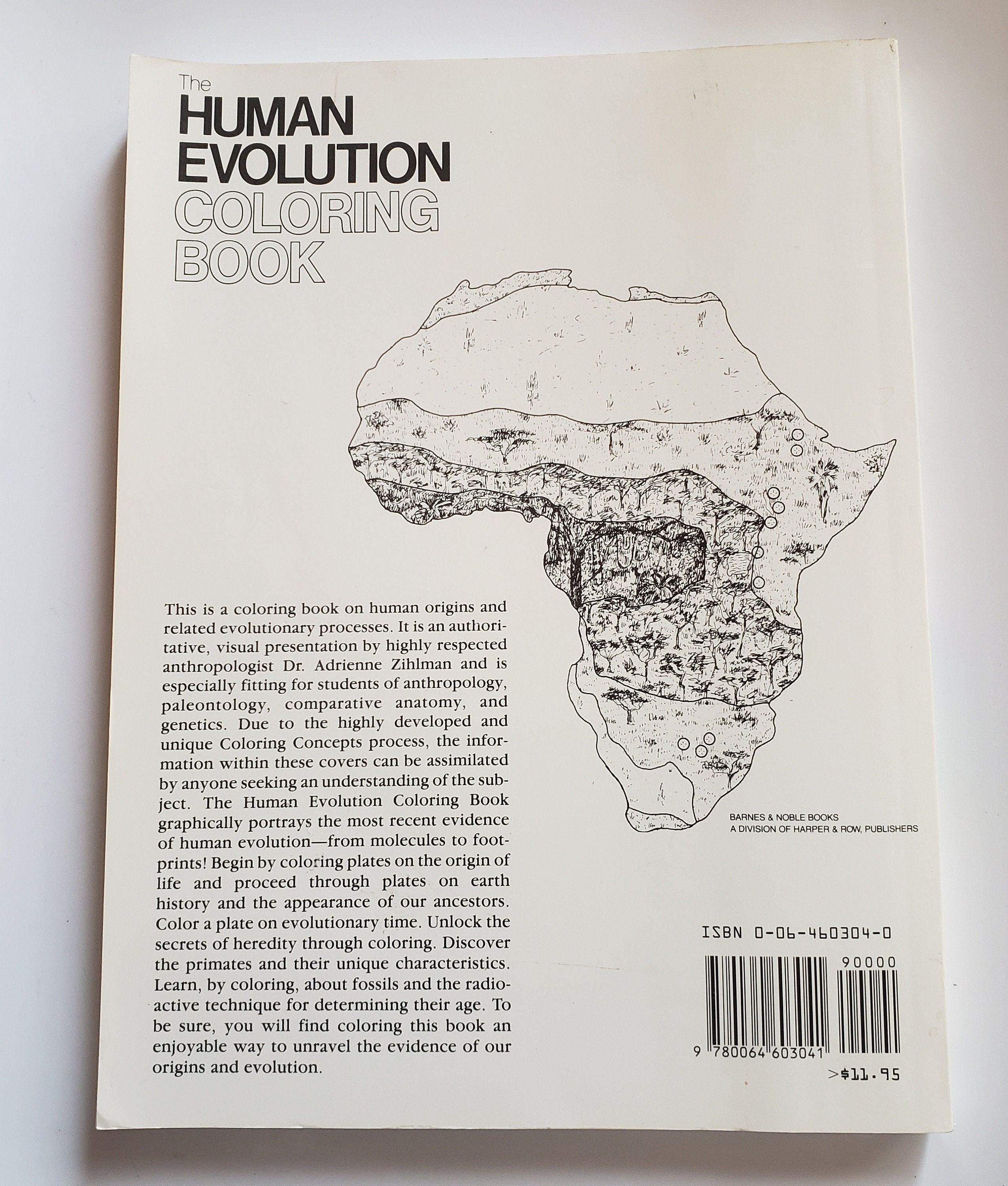 The Human Evolution Coloring Book, Adrienne Zihlman, 1982, PB - Etsy