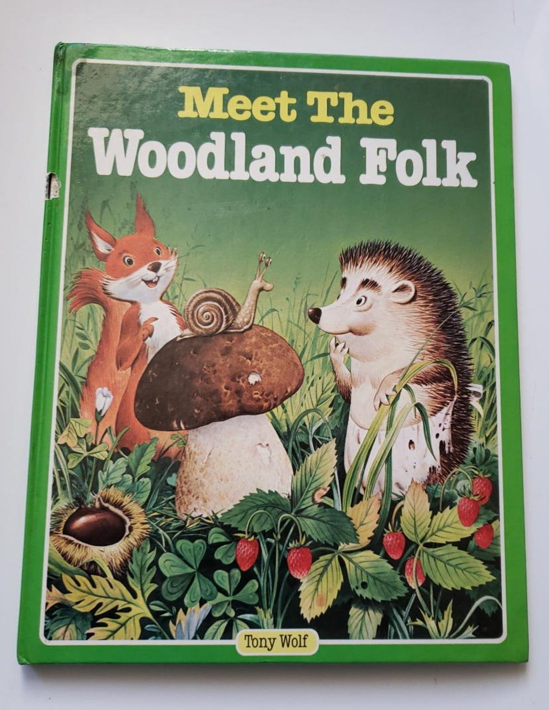 Meet the Woodland Folk by Tony Wolf, 1984, HC - Etsy