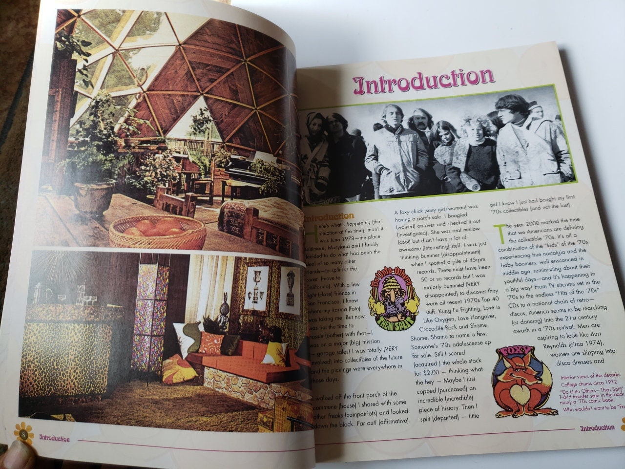 The Collectible 70s, A Price Guide to the Polyester Decade, Michael Jay ...