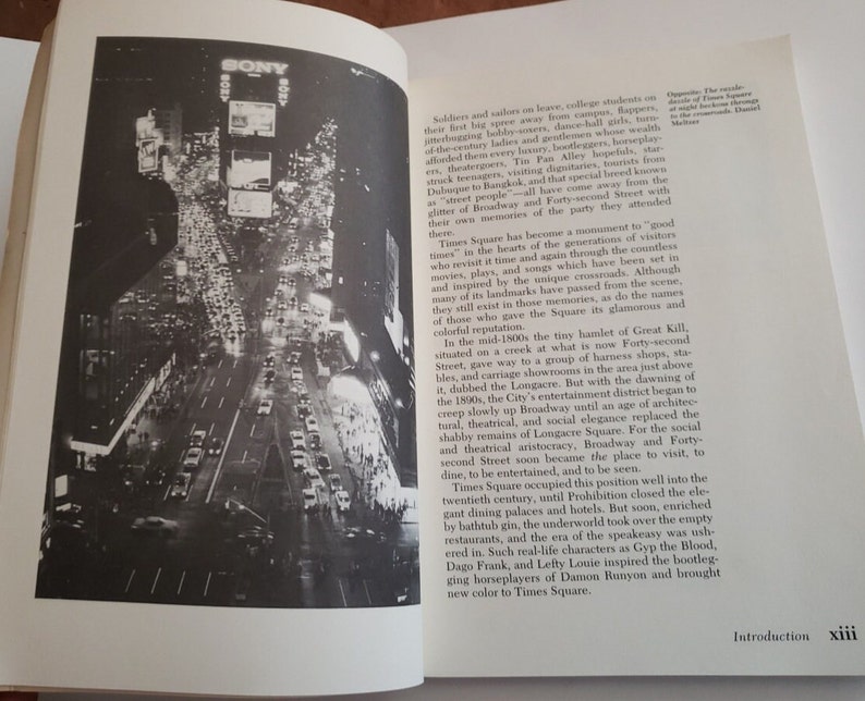 Times Square : A Pictorial History Jill Stone 1982 Paperback - Etsy