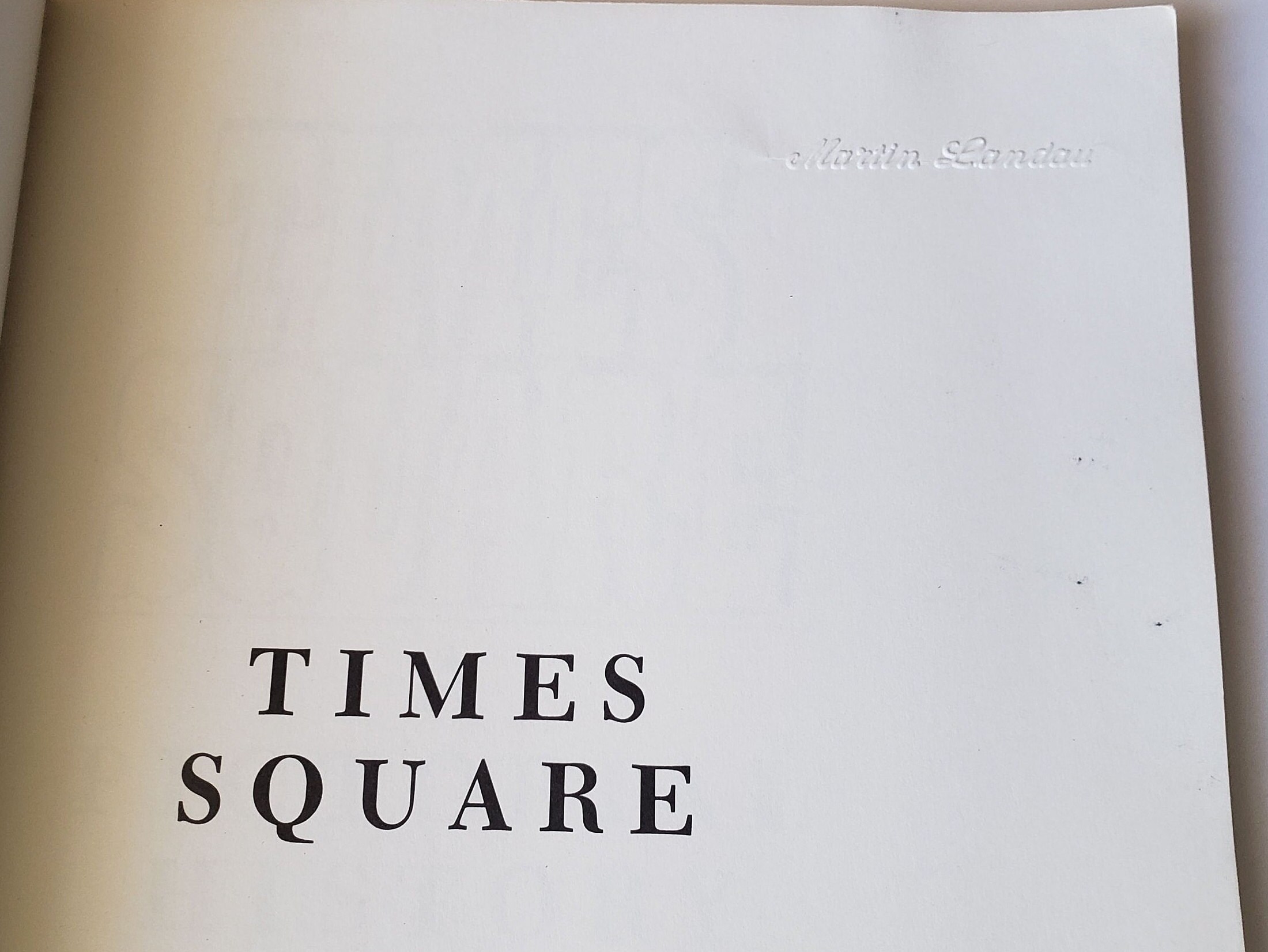 Times Square : A Pictorial History Jill Stone 1982 Paperback - Etsy