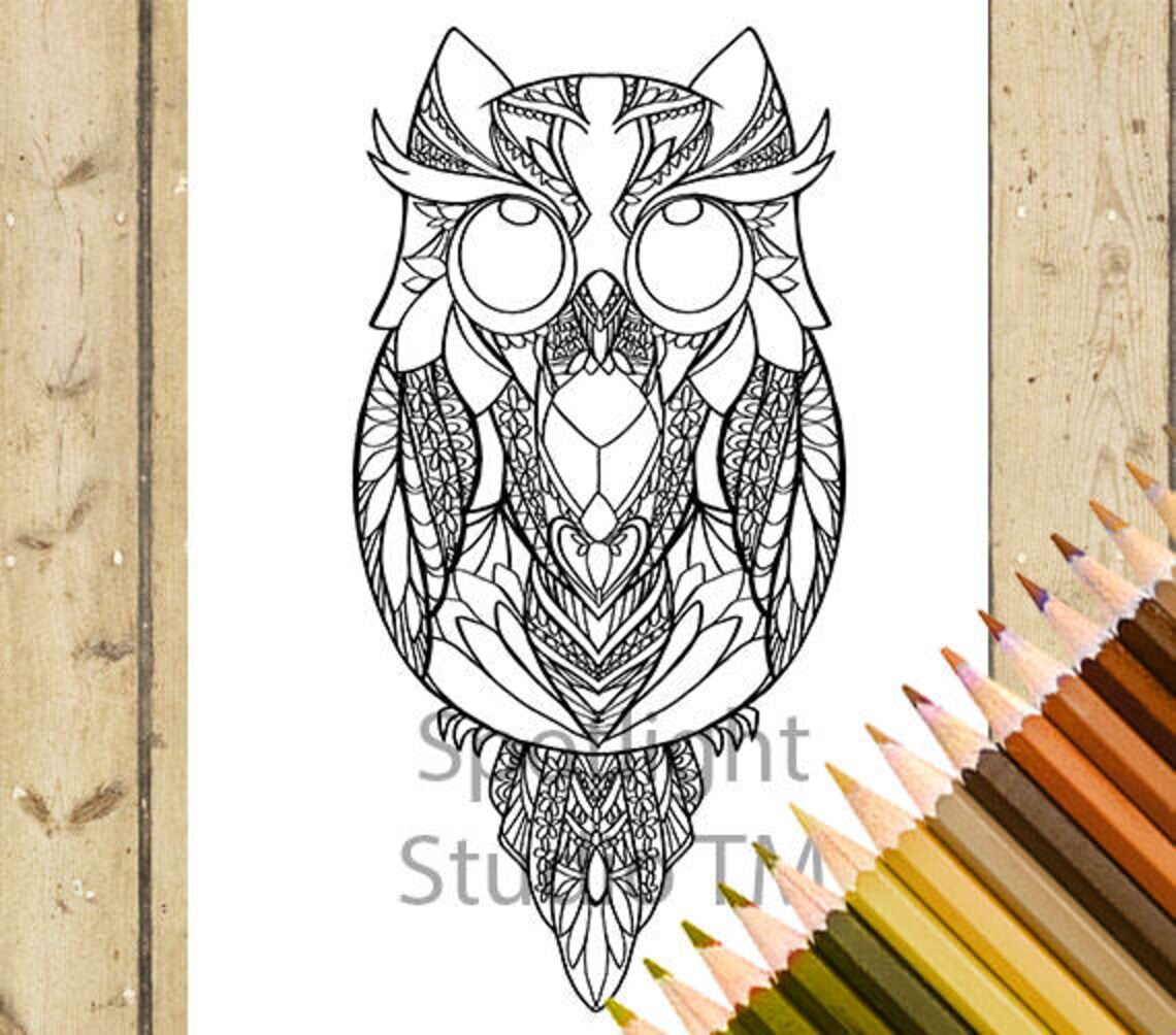 OWL Adult Coloring Page PRINTABLE Coloring Page Bird Owl Coloring Page ...