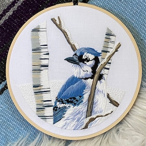 Blue Jay Embroidery Kit, Complete Kit, Detailed Instructions, DMC Floss ...