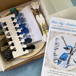 Blue Jay Embroidery Kit, Complete Kit, Detailed Instructions, DMC Floss, DIY - Etsy