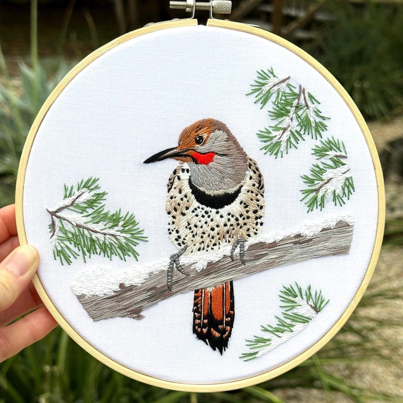 Flicker Embroidery Kit - Etsy
