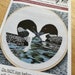 Loon Embroidery Kit Complete Kit Detailed Instructions DMC - Etsy