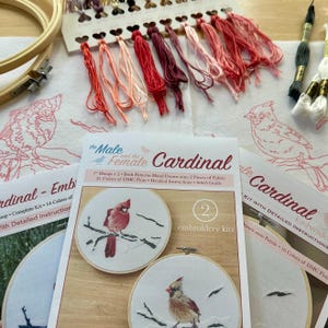 Bundled Embroidery Kit, Male & Female Cardinals, Complete Kit, Detailed ...