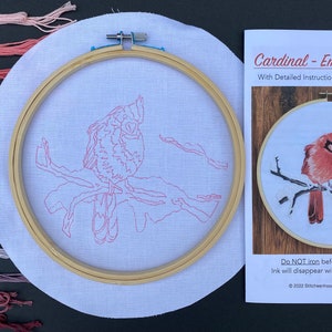Cardinal Embroidery Kit, Complete Kit, Detailed Instructions, DMC Floss ...