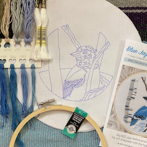 Blue Jay Embroidery Kit, Complete Kit, Detailed Instructions, DMC Floss ...